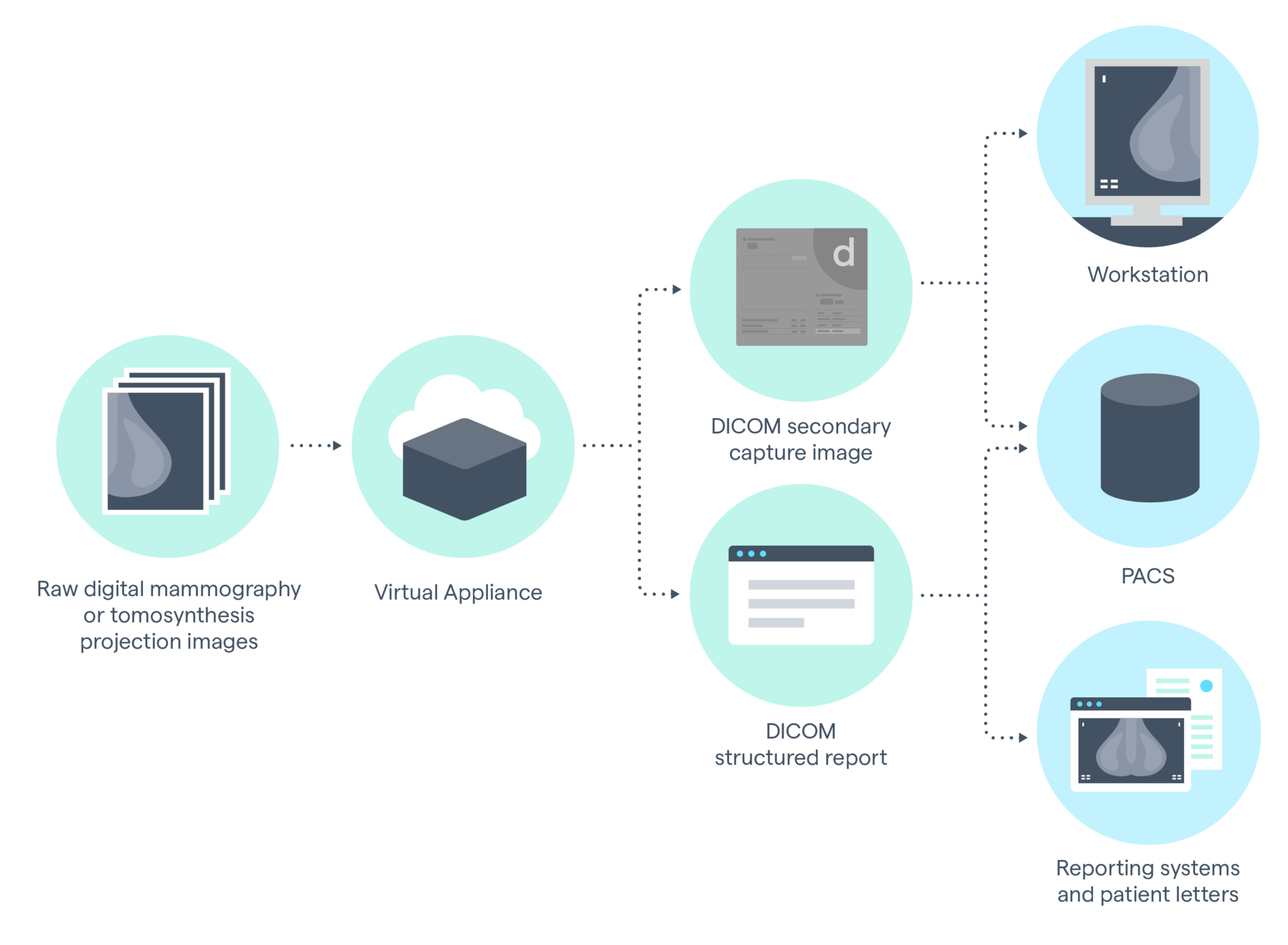Raw images in AI algorithms for breast imaging offer greater accuracy ...