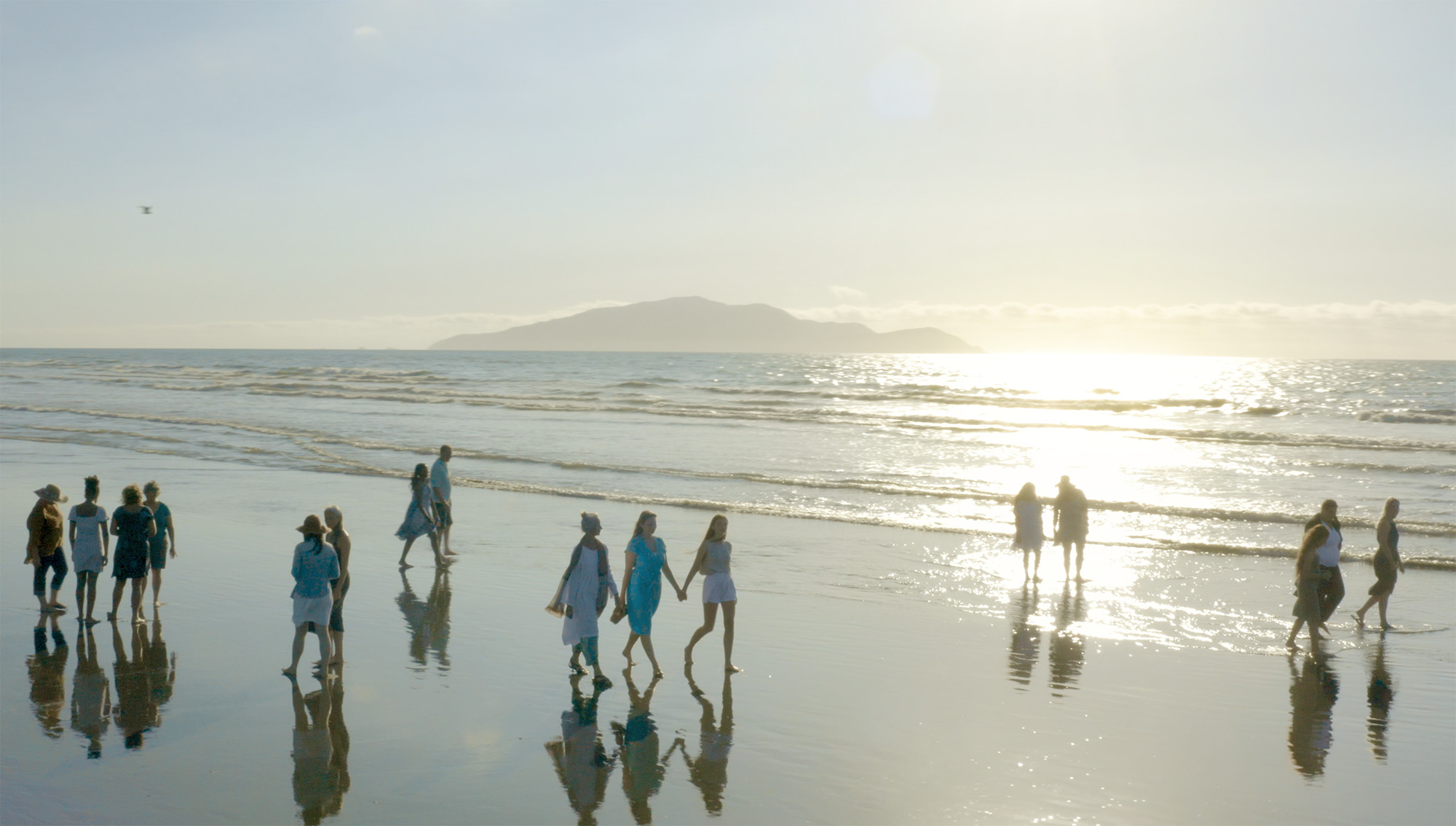 Help and support – Volpara Health